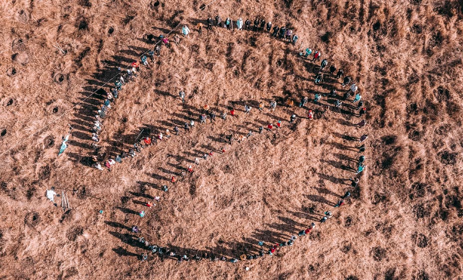 The maib team planted a forest of about 2 hectares in the shape of the ...