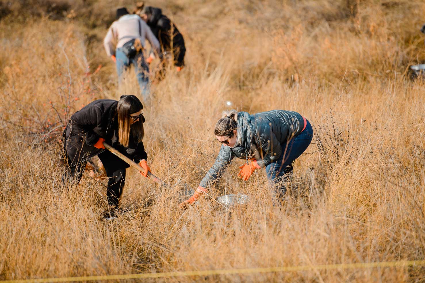 The maib team planted a forest of about 2 hectares in the shape of the ...