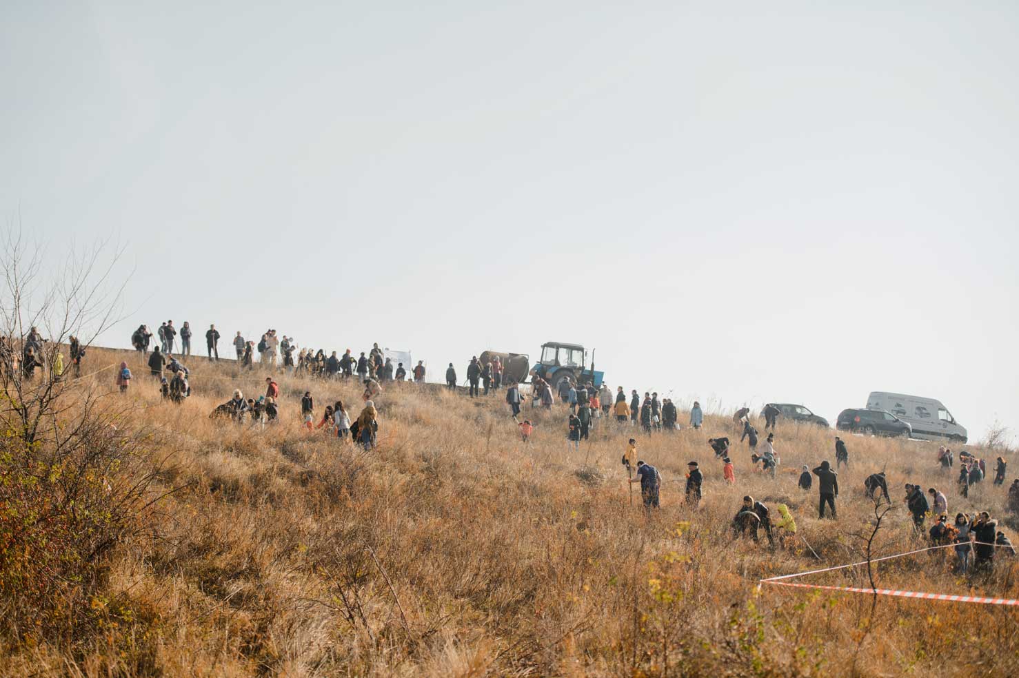 The maib team planted a forest of about 2 hectares in the shape of the ...