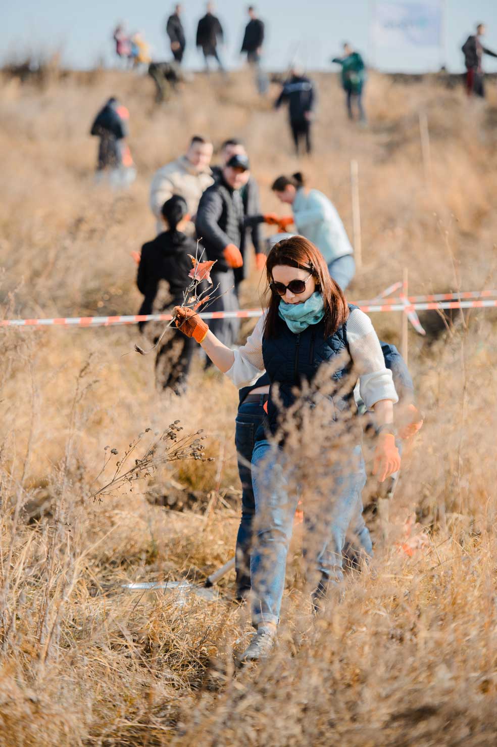 The maib team planted a forest of about 2 hectares in the shape of the ...