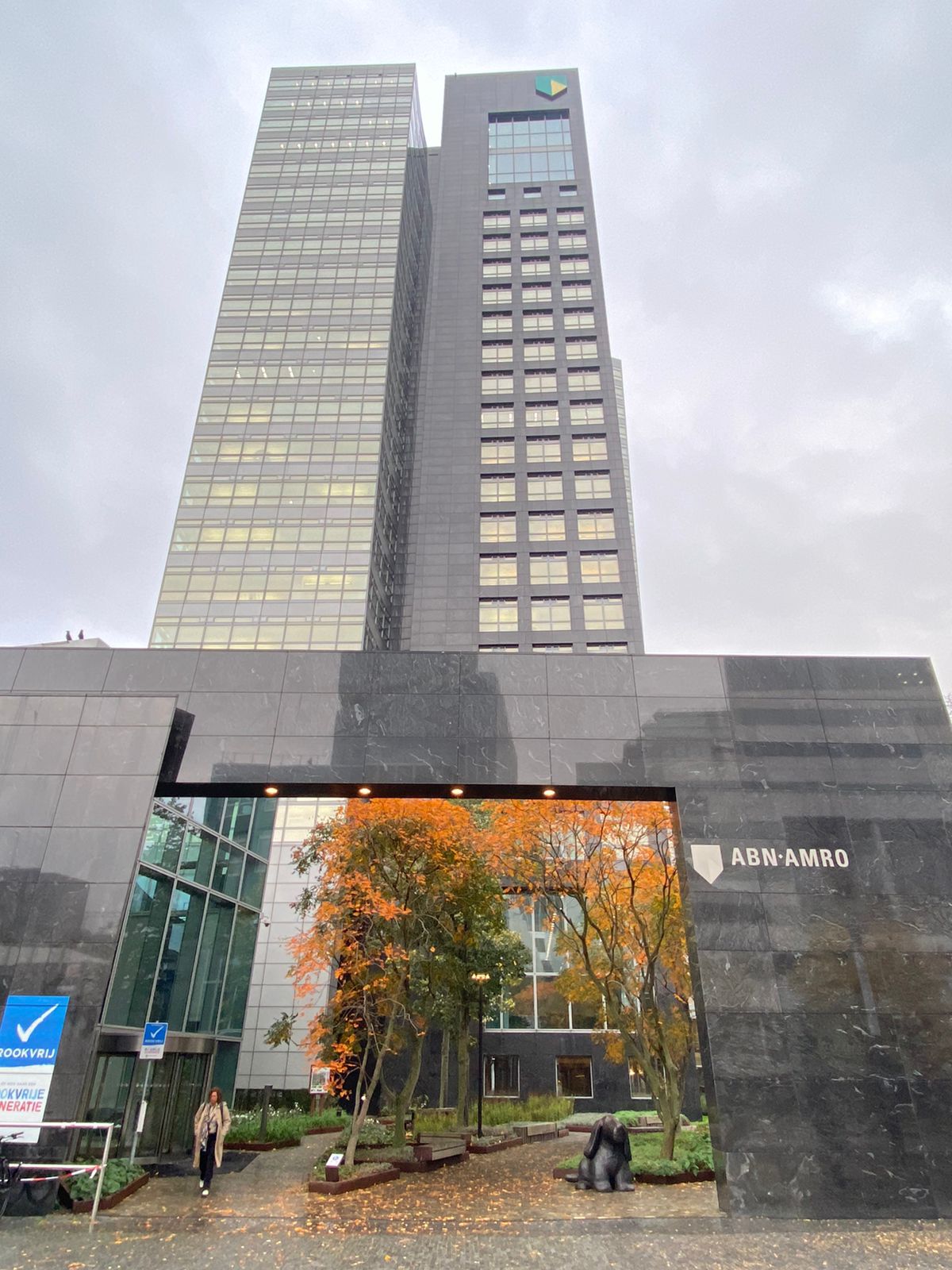 Cum își definește maib viitorul? Dezvoltă o echipă extraordinară și învață de la companiile ...