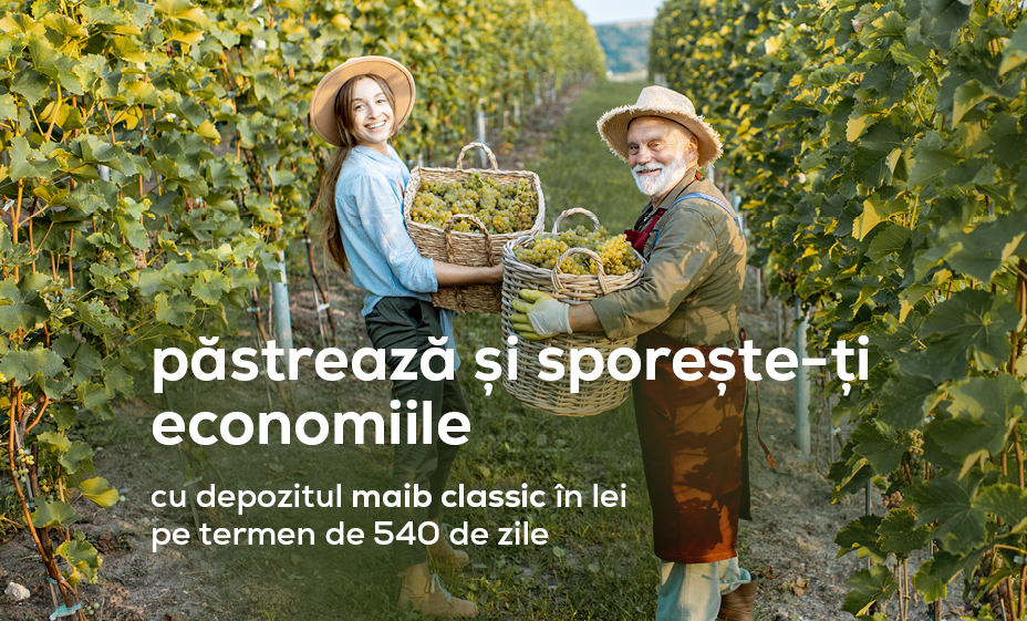 Din nou disponibil: depozitul „maib classic” în lei pe un termen extins de 540 de zile | maib
