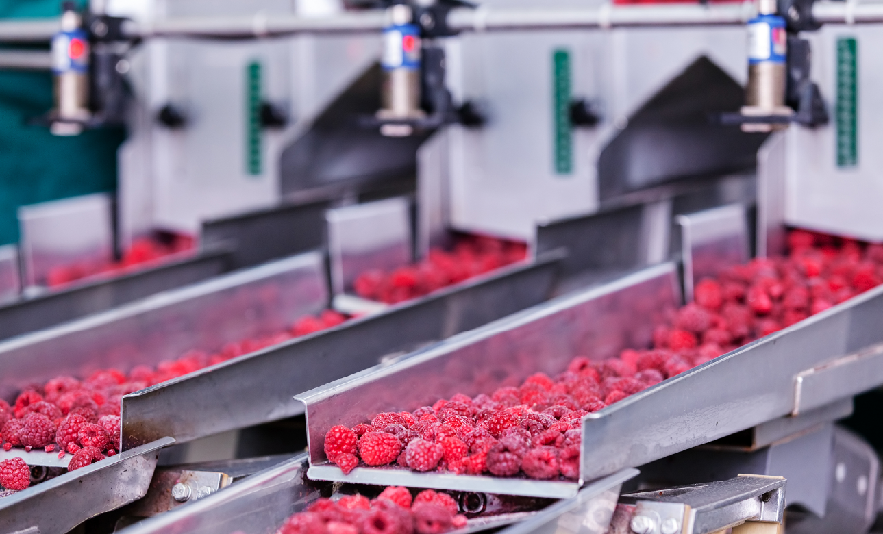 Maib este pregătită să acorde credite agricultorilor cu o dobândă fixă de 5,1% prin Programul ...